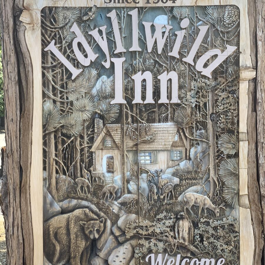 Welcome to Idyllwild, California | My Idy