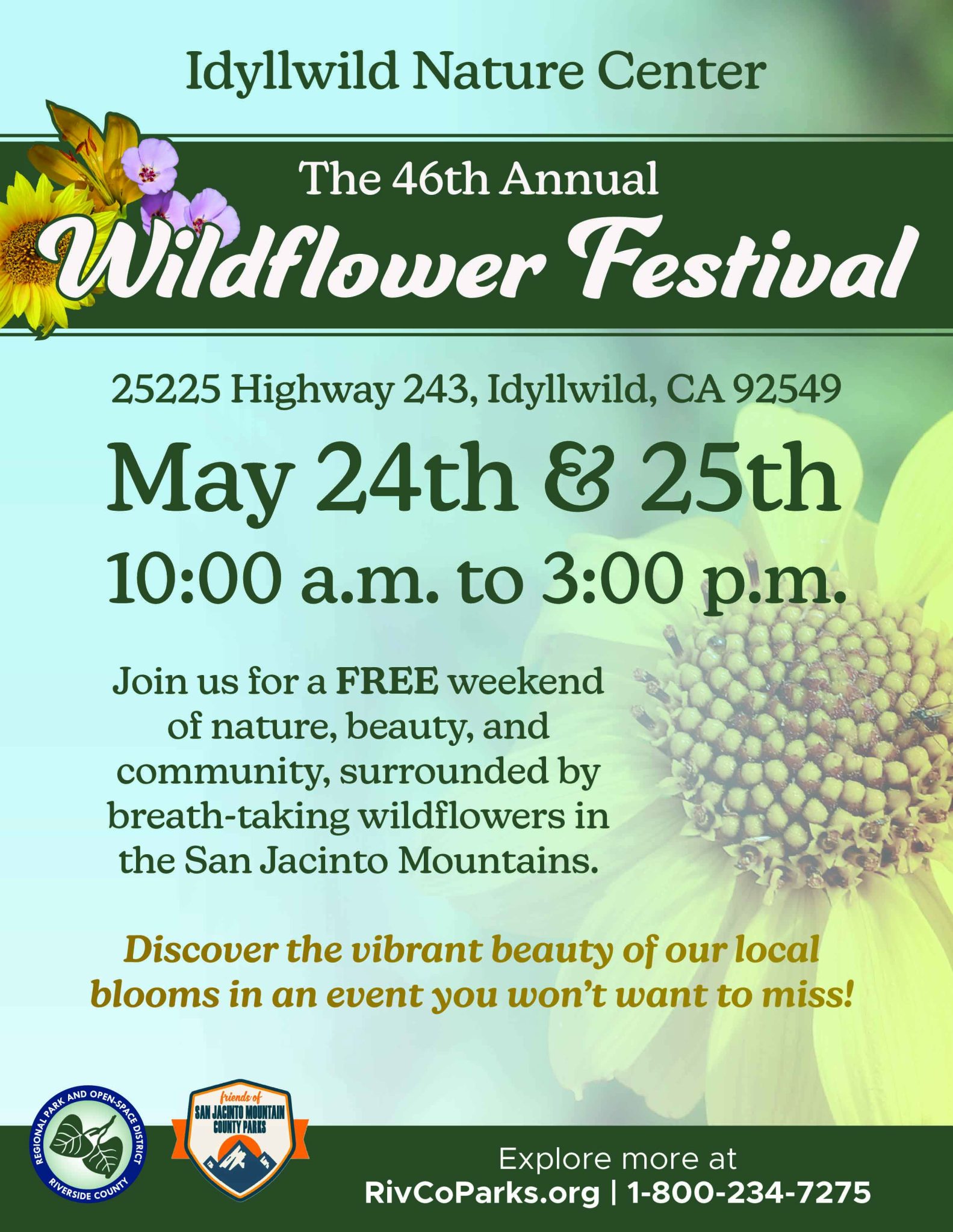 wildflower festival@ nature center - Idyllwild